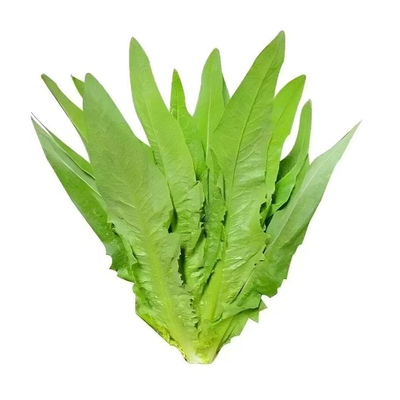 脆甜新鲜绿叶菜火锅清炒