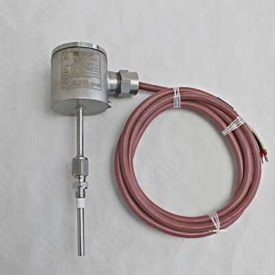 Dittmer 1xPt100/2L DN-B Widerstandsthermometer