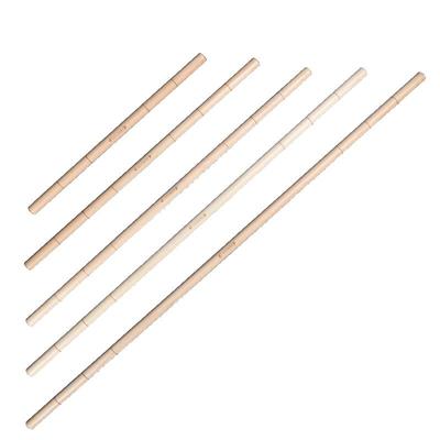 开肩美背舞蹈塑形站姿木棒