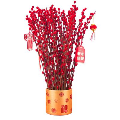 七彩银柳真花红色鲜枝年宵花卉福桶银柳耐寒植物干花室内装饰花束