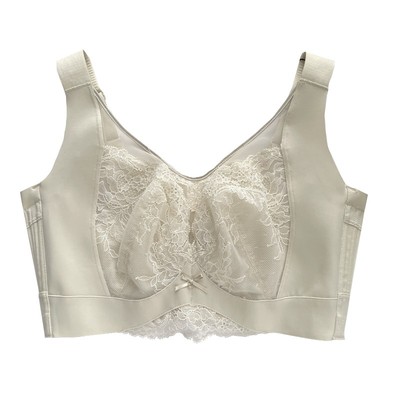 性感蕾丝全罩杯大胸显小文胸