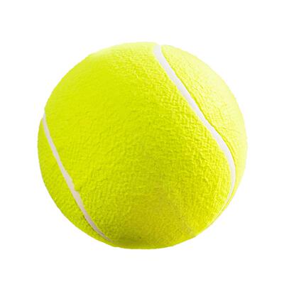 超大网球，给狗狗10倍快乐！