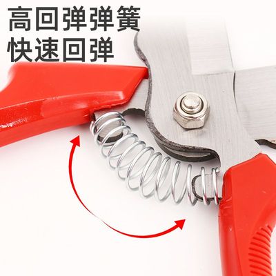 大蒜剪农用剪刀碳钢工厂洋葱剪刀高硬度批发剪根茎园艺蒜头大头苗