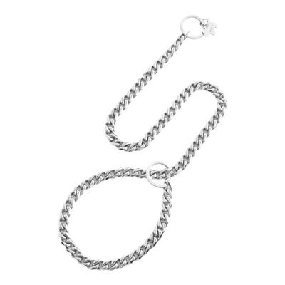 CHUKCHI楚克奇宠物P链遛狗绳