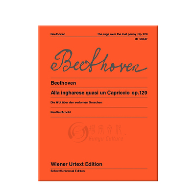 丢失一分钱的愤怒贝多芬