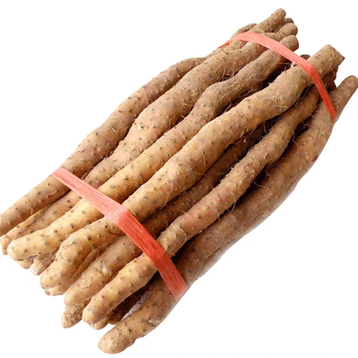 正宗垆土铁棍山药产地种植现挖