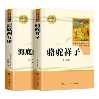骆驼祥子和钢铁是怎样炼成的