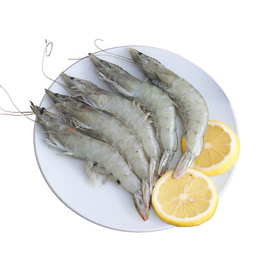 海捕大虾虾皇23年新鲜单冻海虾