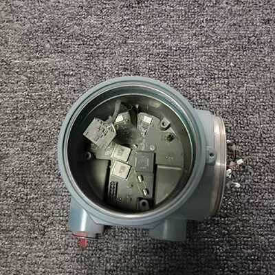 溢价-Endress  Hauser Levelflex M F