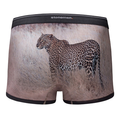 stonemen男士内裤纯棉平角四角裤