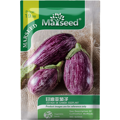 经典好吃甘迪亚茄子带条纹皮薄可食家庭阳台庭院蔬菜种子种苗A194