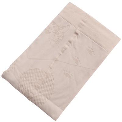 猫爪丝袜防勾丝连裤袜性感夏季