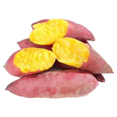 陕西正宗临潼板栗红薯沙地现挖新鲜番薯农家自种小香薯甜山芋地瓜