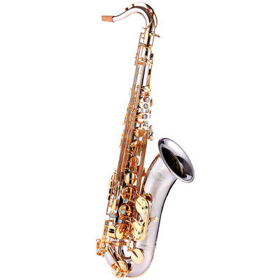 专业演奏台湾萨尔特萨克斯风乐器