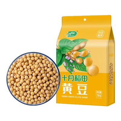 十月稻田东北黄豆大豆可生豆芽打豆浆粗粮黄豆真空包装