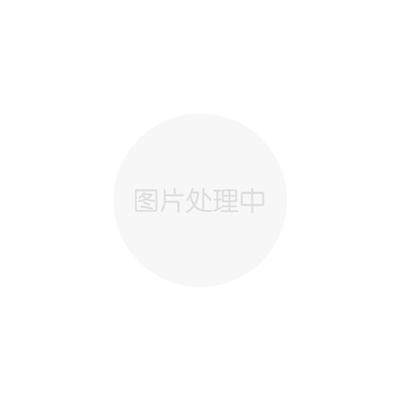 【预售】与众不同英文摄影摄影师专辑进口原版外版书精装Seeing Differently Laura Paresky Gould Tra Books