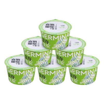 哈仔懒人泡面猫草杯种草不脏手