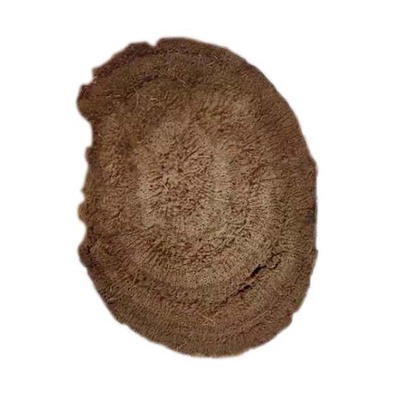 野生柴葛根 伏牛山葛根深山老葛根天然葛根片无漂不加工野生葛根