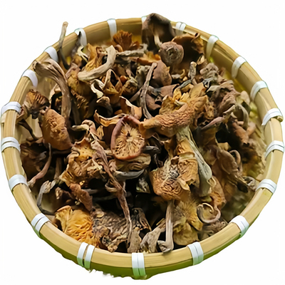 黑龙江野生榛蘑蘑菇小鸡炖蘑菇