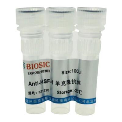 Anti-HSF-1 Monoclonal antibody 实验用单克隆抗体 百克赛斯生物