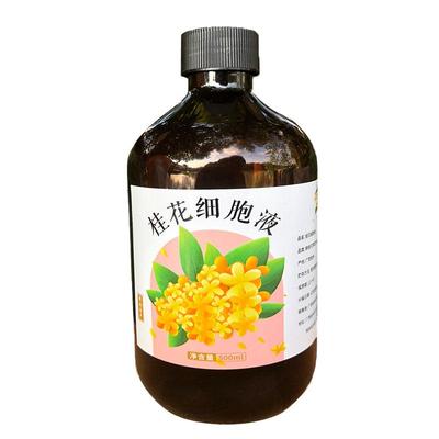 桂花细胞液自制精油自制香水原料自制淡雅香熏材料天然提取无添加