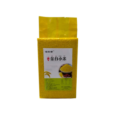 2025山东金乡马庙小米金谷黄小米