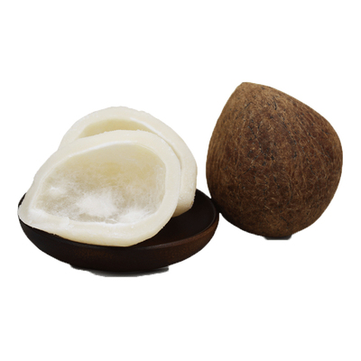 印度椰子海椰王海椰皇煲汤新鲜