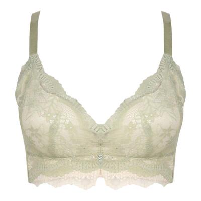 无钢圈聚拢文胸都市丽人