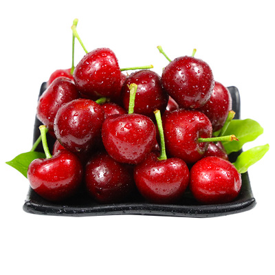 现摘山东烟台大樱桃拉宾斯国产红樱桃车厘子5斤新鲜孕妇水果包邮