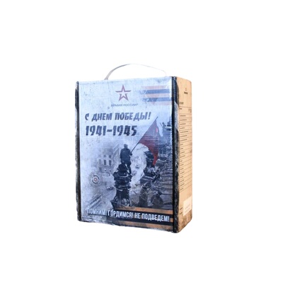 俄罗斯卫国战争胜利纪念日口粮礼品装户外jun粮配发MRE野战非自热