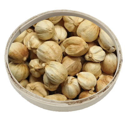 正宗白豆蔻g包邮无硫批发包邮