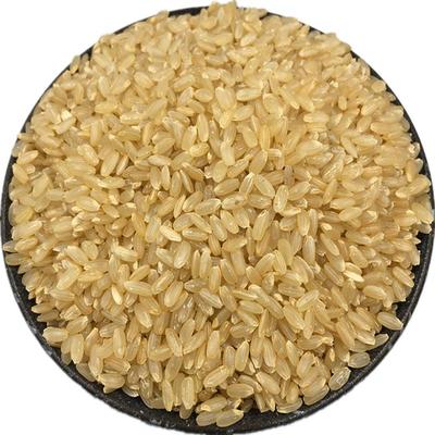 黑龙江新五常糙米长粒