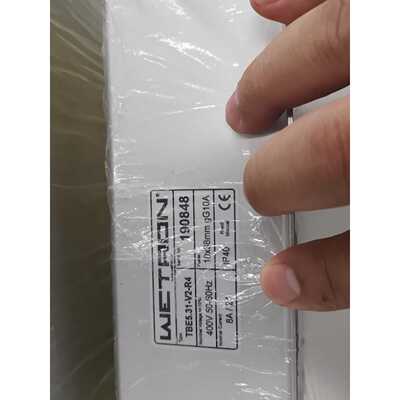 【请询价】WETRON原装进口分段控制器TE5.31V2R4