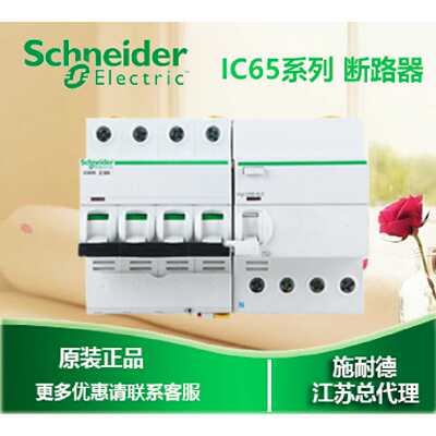 漏电断路器4PC32A带漏电A9F18432A9V59440