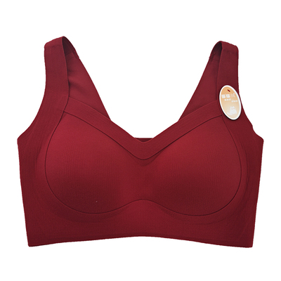 猫猫绒磨毛保暖文胸固定杯内衣女