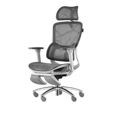 【黑白调E2pro】人体工学椅护腰