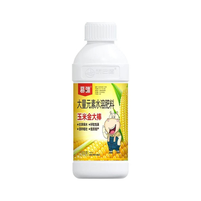 沃巴盾玉米金大棒秆粗壮棒大粒饱