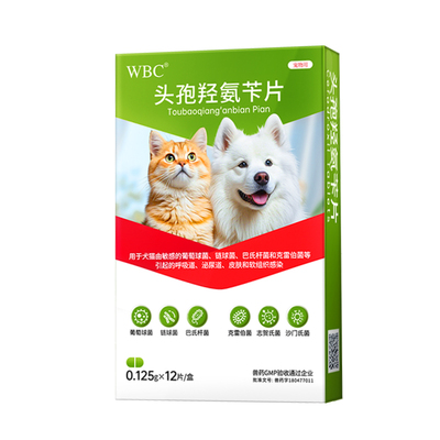 【拒绝炎症！】猫咪狗狗消炎药