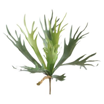 仿真鹿角叶热带沙生植物叶子造景