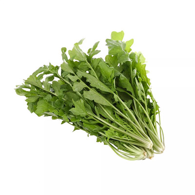 野生荠菜种子地菜种苗荠菜种籽秋冬四季耐热野菜青菜农家阳台蔬菜