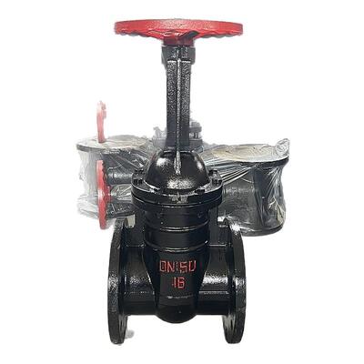 Z41T-10/16 铸铁明杆法兰闸阀HT200/QT450硬密封铜芯DN350/14寸