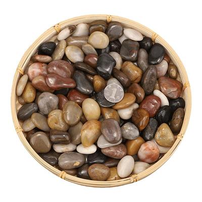 鹅卵石天然花盆鱼缸造景水培装饰