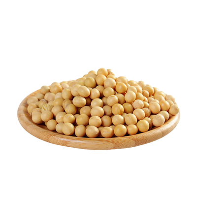 5斤东北黄豆10斤大豆非转基因打豆浆生豆芽当季新豆1/2/5/10斤