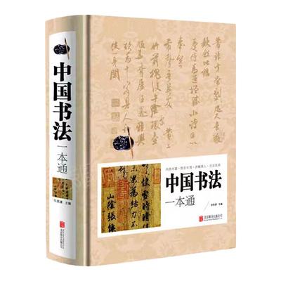 中国书法一本通正版精装书法简明史篆书楷书入门167个练习方法书法有法王羲之欧阳询书法一点通技法源流十讲教程书法字典大全书籍