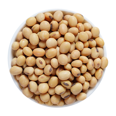 新黄豆农家自种非转基因小黄豆