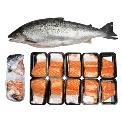 法罗皇冠生鲜三文鱼整条挪威大西洋鲑鱼块中段现切刺身官方旗舰店