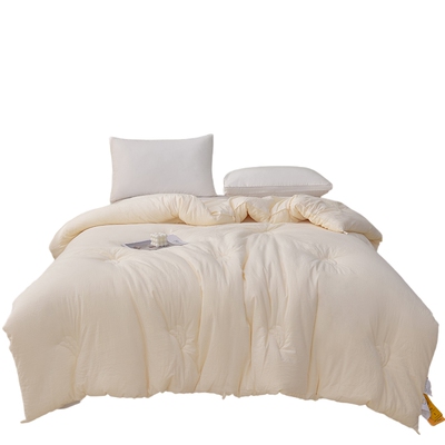 李官奇大豆纤维被子被芯加厚保暖