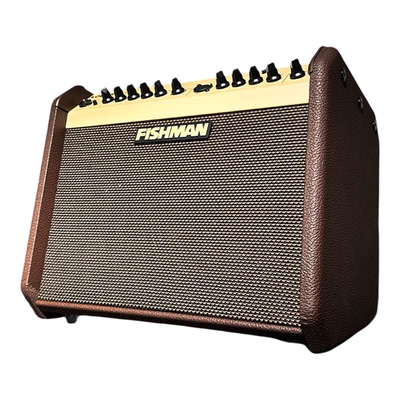 Fishman木吉他音箱Loudbox路演蓝牙充电原声乐器卖唱弹唱音响