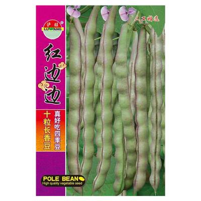 紫红架豆种子四川春季田园蔬菜籽