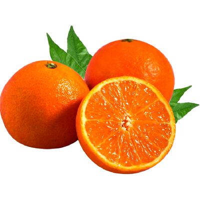 印象仙居象山柑橘红美人甜